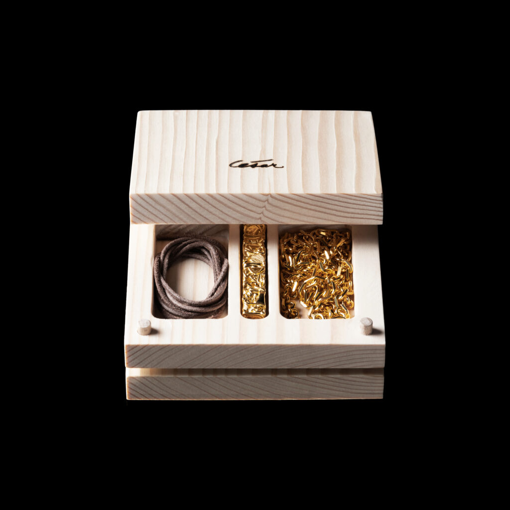 CELINE CÉSAR COMPRESSION PROJECT | FHCM